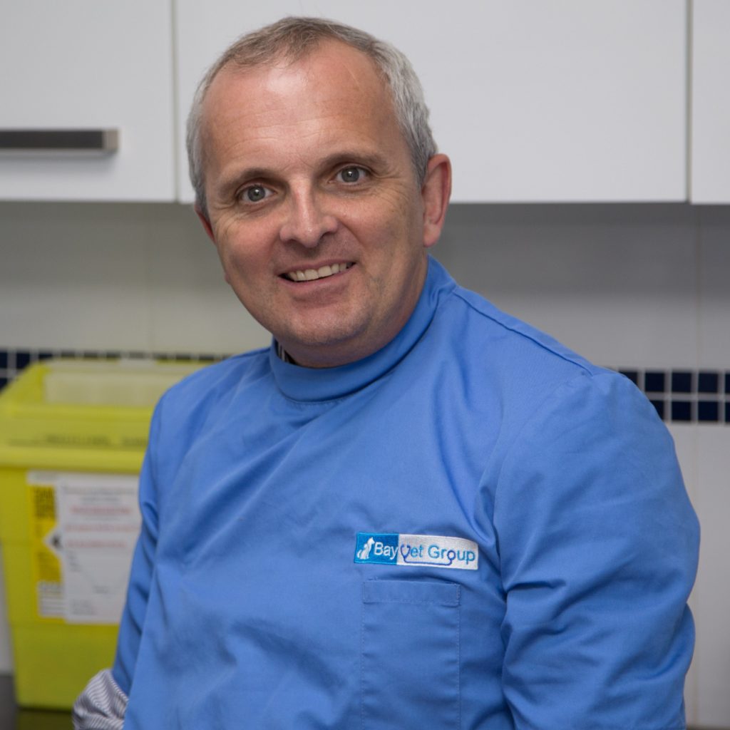 Meet the Vet Team | Bay Vet Group - Dedicated and caring